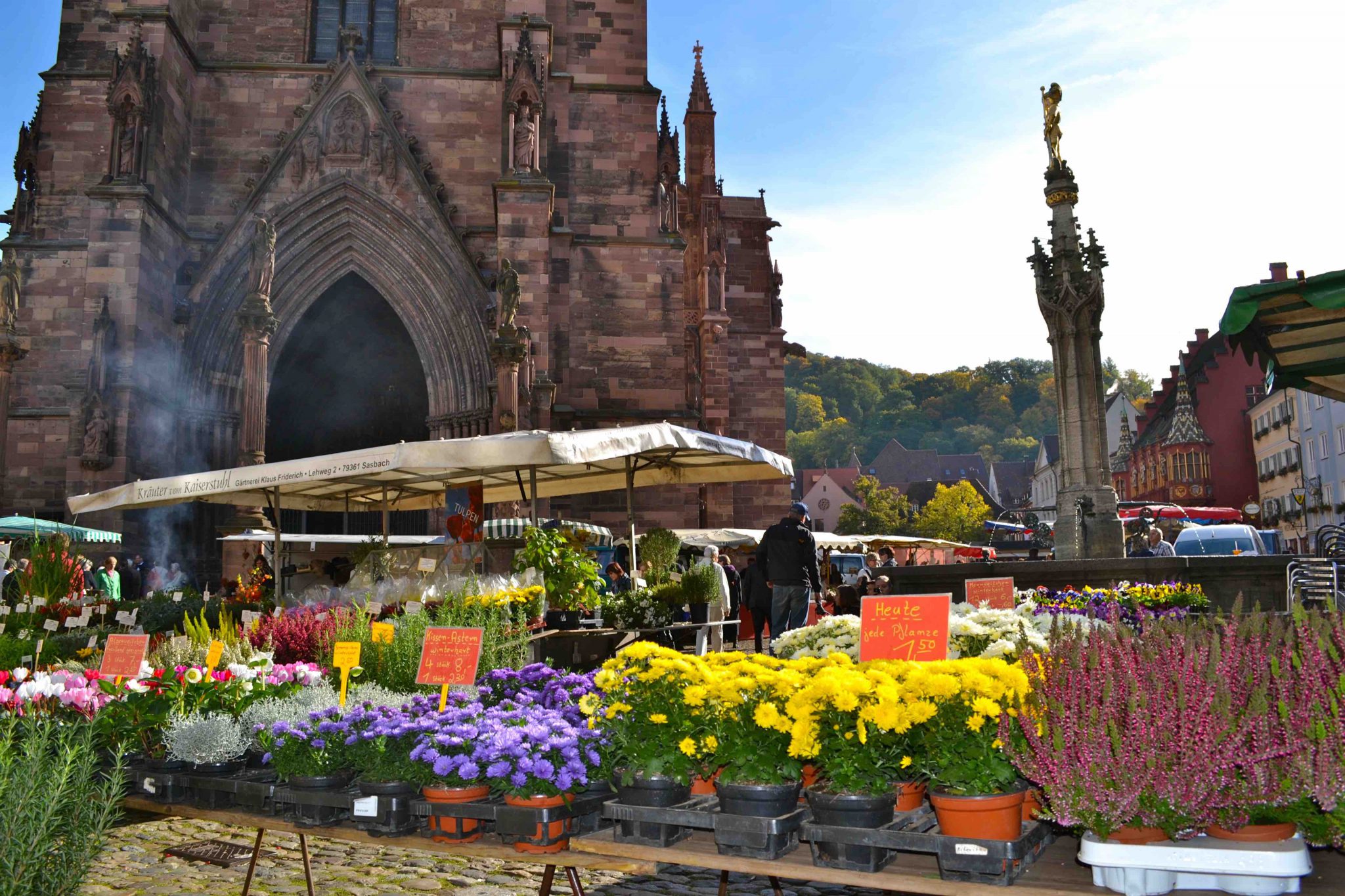 Stadtführungen in Freiburg und Touren in die Regio mit Blickpunkt Freiburg